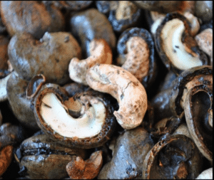 What Part Of Cashew Is Poisonous? - Taizy Machinery